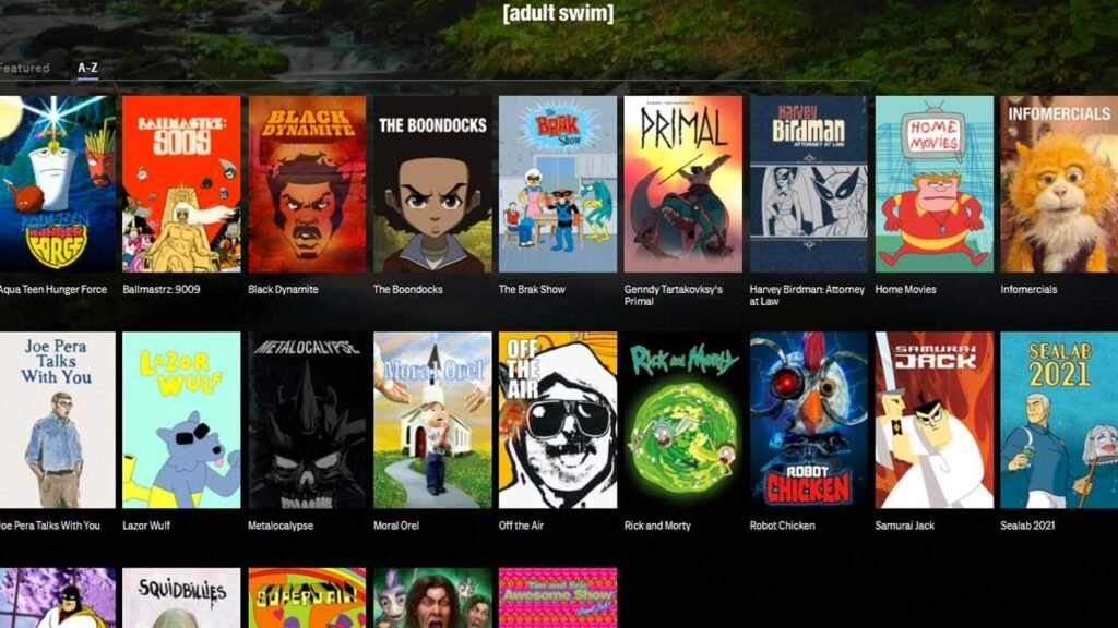 Adult Swim México: ¿Qué programas tendrá y dónde verlo?